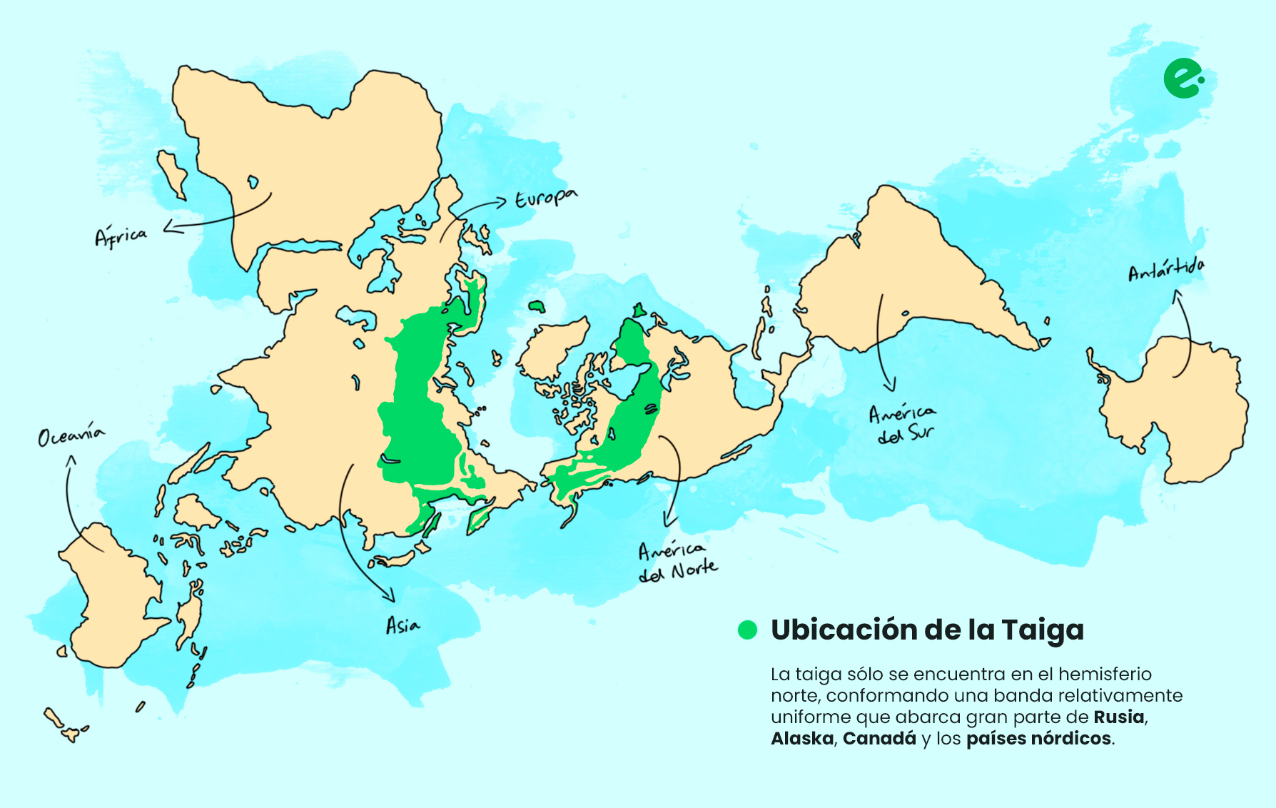 TAIGA: qué es, características, flora, fauna, clima, animales, dónde se ...